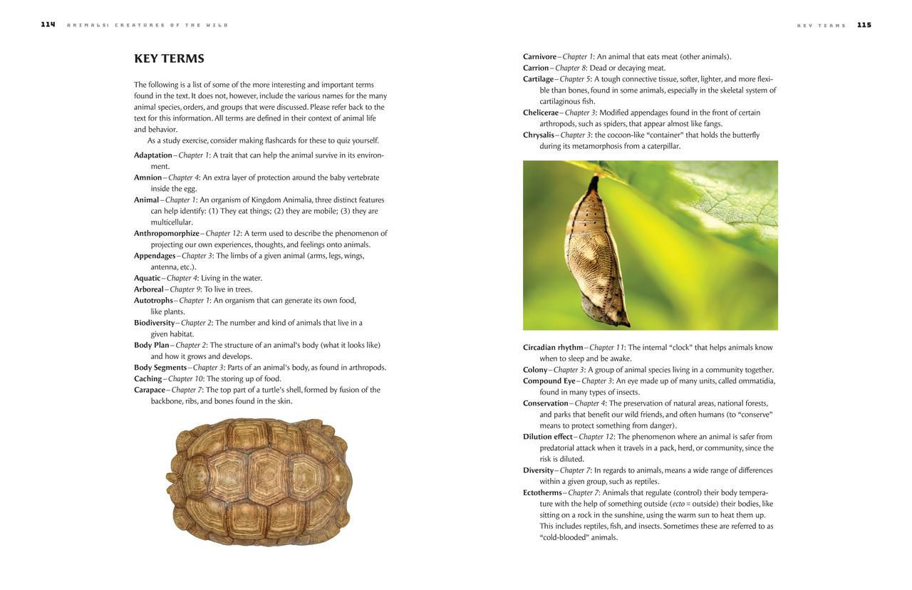 The Foundations of Science: Animals (Textbook)