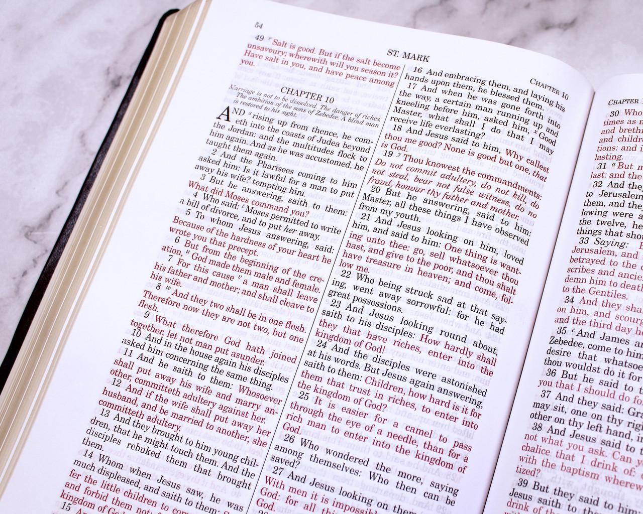 Douay-Rheims Bible Large Print Edition