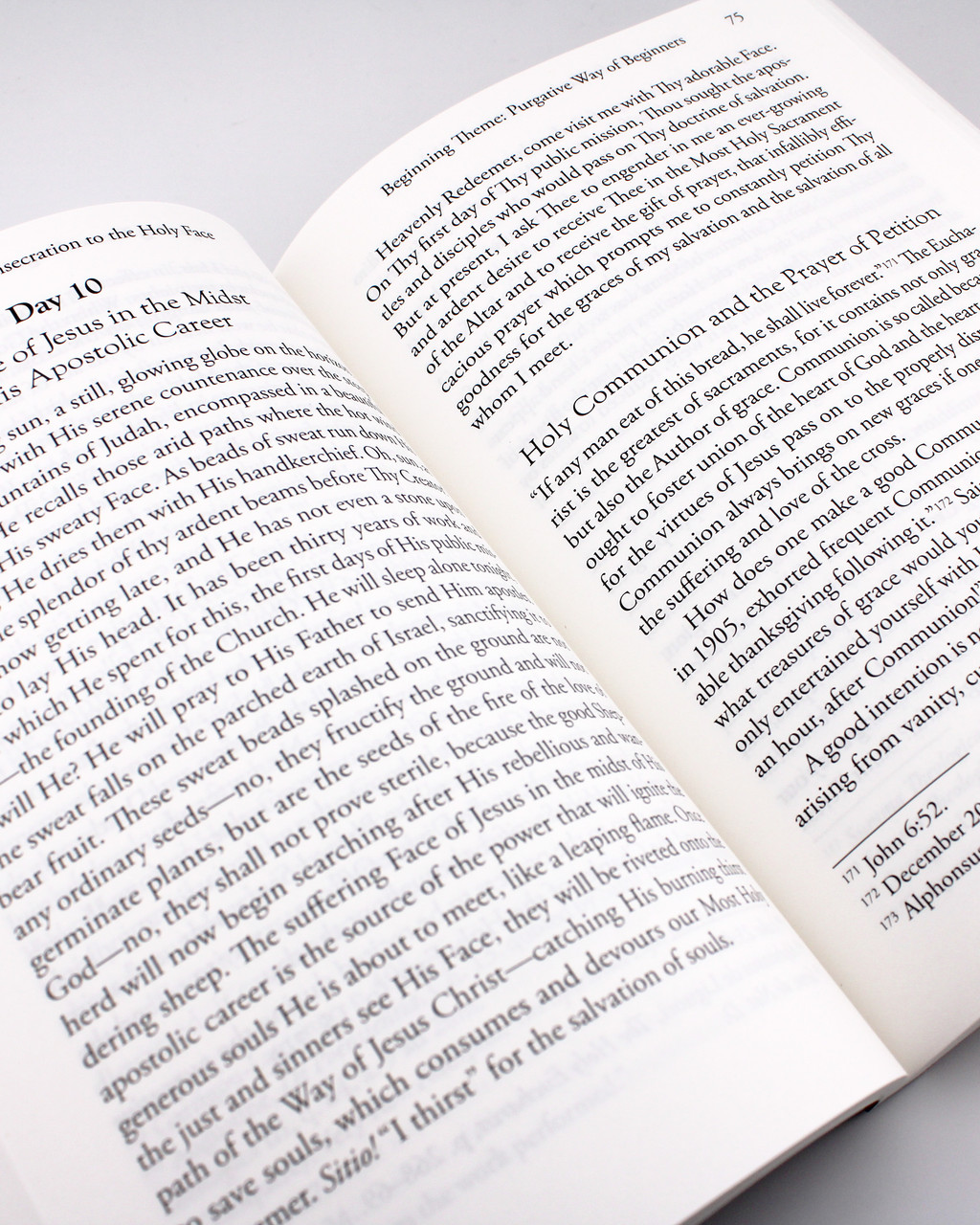 Preparation for Total Consecration to the Holy Face of Jesus: How God ...