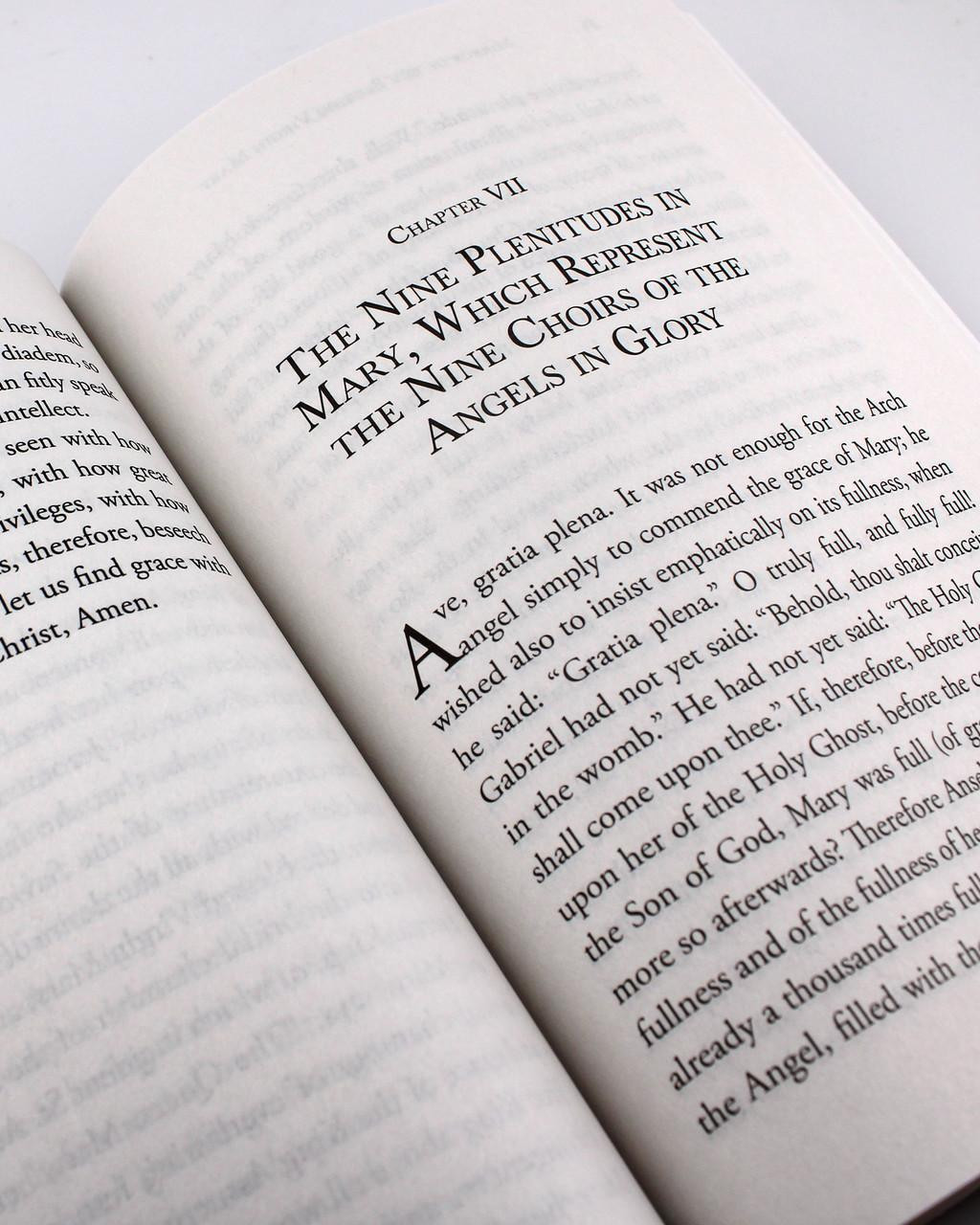 Mirror of the Blessed Virgin Mary | TAN Books