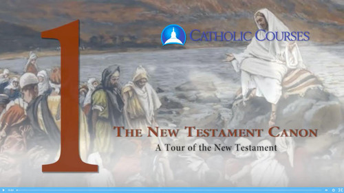 The New Testament Canon: The Development of the Gospels from Oral ...