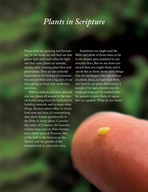 The Foundations of Science: Plants(Textbook)