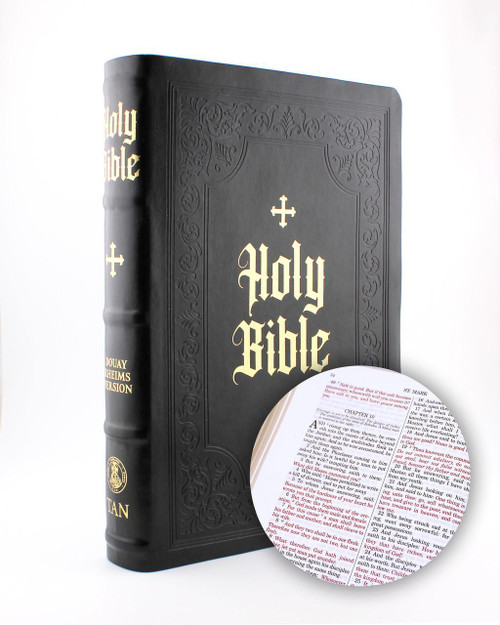 Catholic Formation Bundle: Douay-Rheims Bible Large Print Edition ...