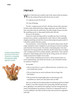 The Foundations of Science: Plants(Textbook)
