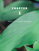 The Foundations of Science: Plants(Textbook)