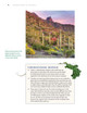 The Foundations of Science: Plants(Textbook)