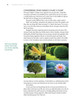 The Foundations of Science: Plants(Textbook)