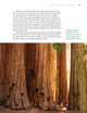 The Foundations of Science: Plants(Textbook)