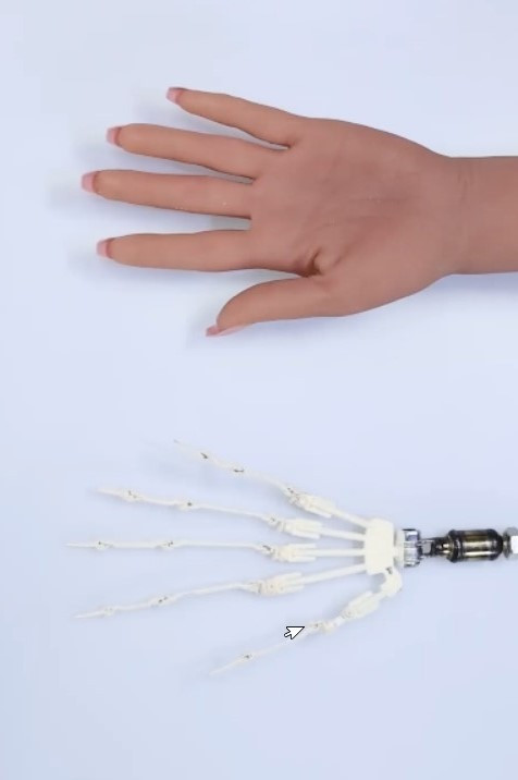 Custom Doll Starpery Finger Type Articulated Finger