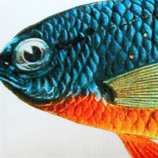 Guppy Fish Pillow 12x19 - Pillow Decor