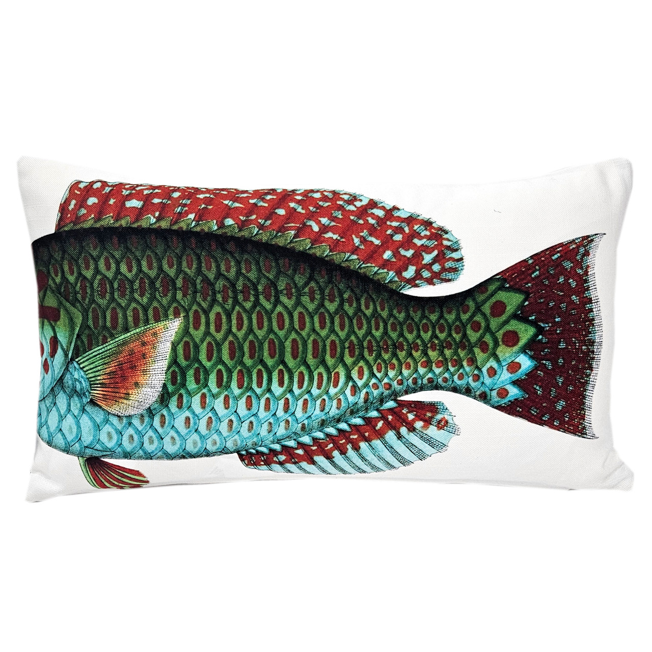 Stareye Parrot Fish Pillow 12x19 | Pillow Decor
