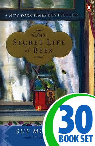 Secret Life of Bees, The - 30 Books and Complete Teacher's Kit ...