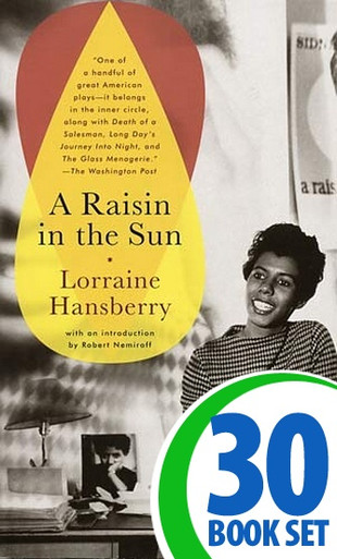 Raisin in the Sun, A - 30 Books and Teaching Unit | Prestwick House