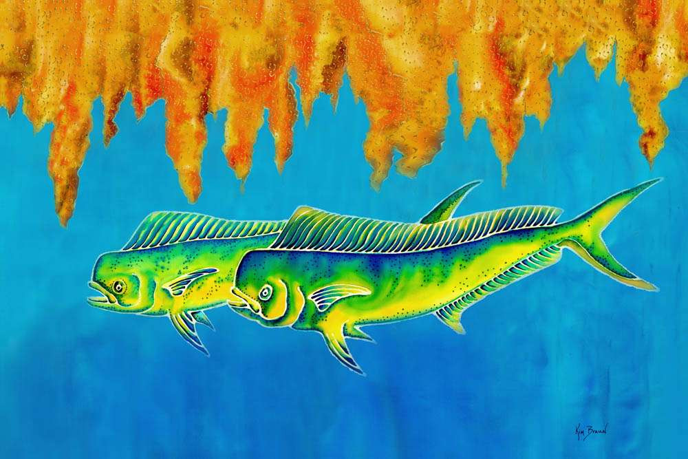 Mahi-Mahi Fish Artwork - Dolphin Design by Kim Braun