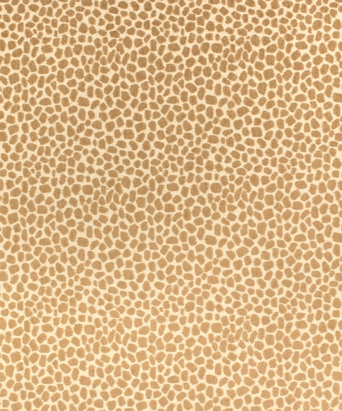 Animal Print Fabric | Quality Fabric & Textile
