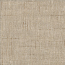 Carole Fabric Amiable Toast - My Fabric Connection