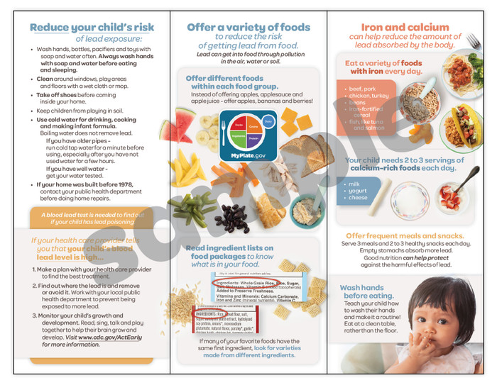 Reduce the Risk of Lead Poisoning Brochure - Nutrition Matters