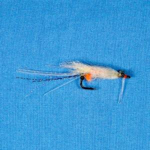 Spawning Shrimp BC Trans