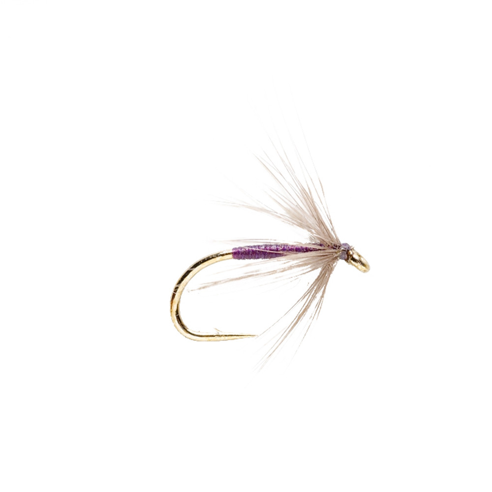 Snipe & Purple - Gordy & Sons Outfitters