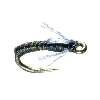 JUJUBEE MIDGE CRAVEN CHART 2025142 - Gordy & Sons Outfitters