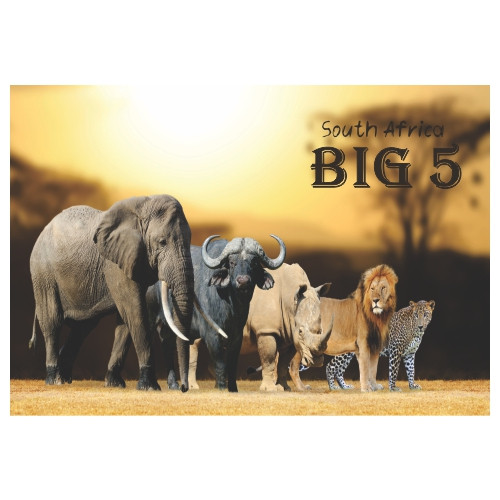 Images Of The Big Five In South Africa 202,528 Big Five Royalty Free