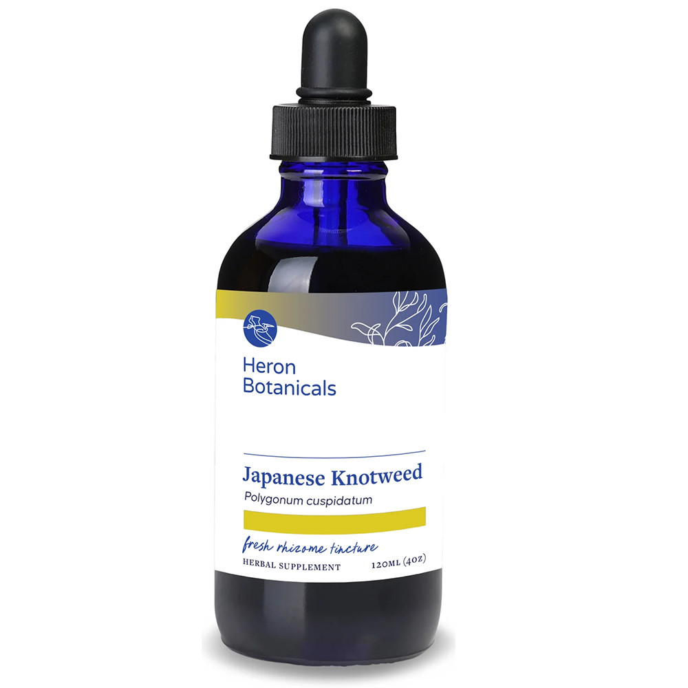 Japanese Knotweed Liquid Extract, 4-oz. Clinical-grade herbal ...