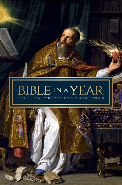 Augustine Institute | Catholic Books, Bibles, and Merchandise