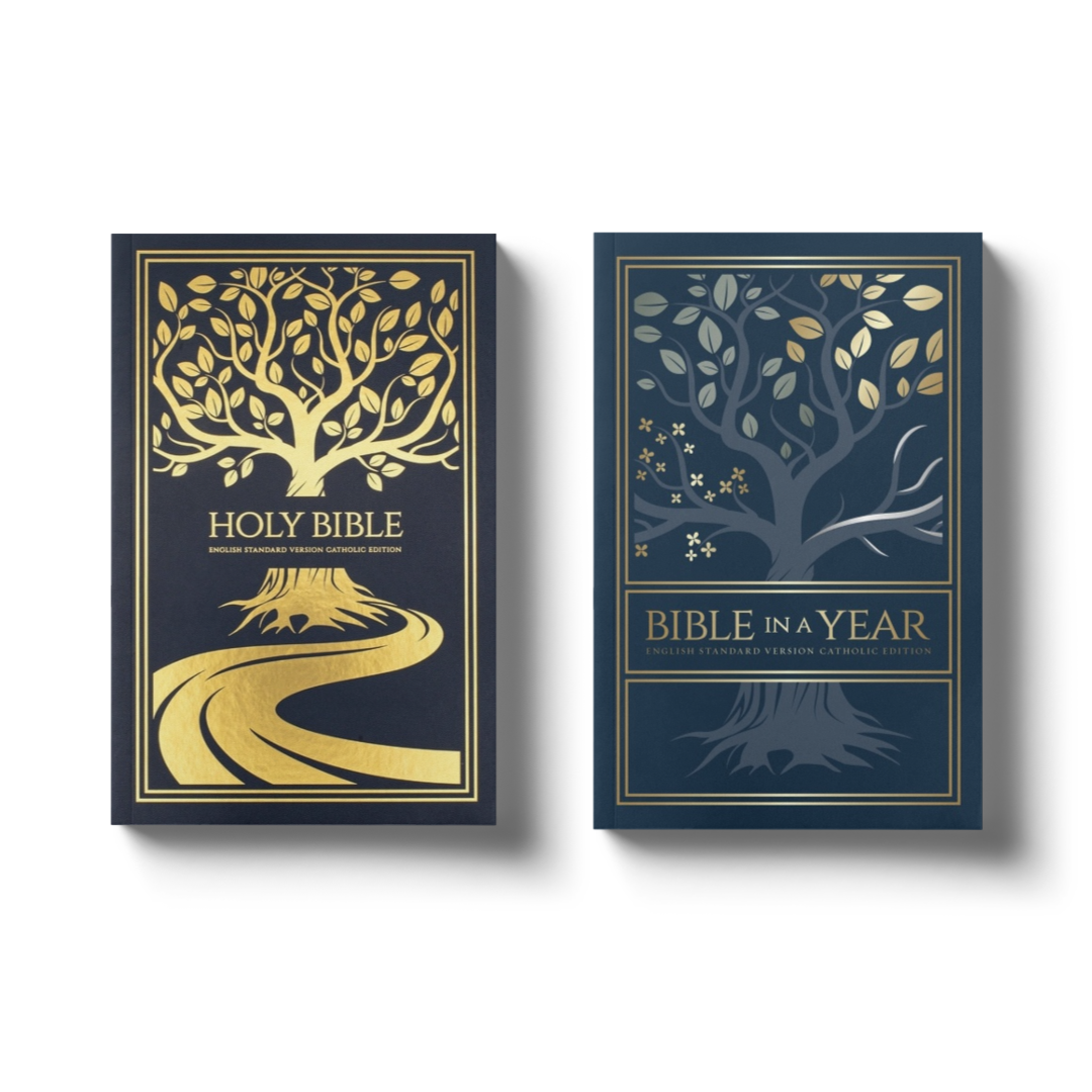 Books - Bible in a Year - Catholic Market