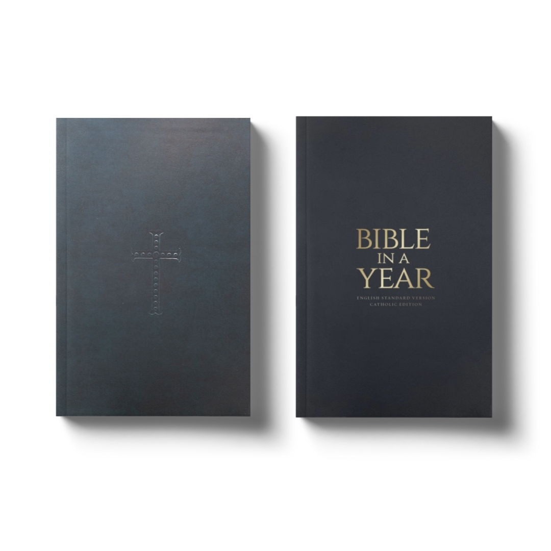 Books - Bible in a Year - Catholic Market