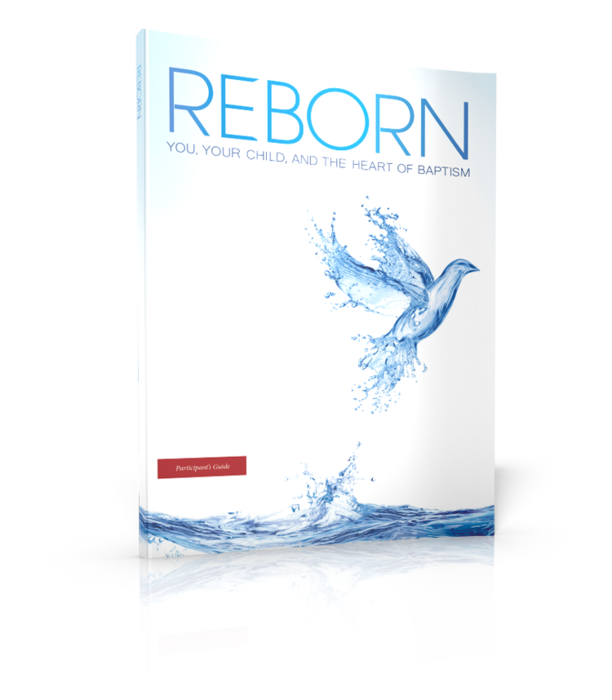 Reborn Participant's Guide (5 Pack)