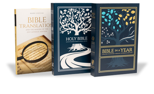 St. Augustine Bible in a Year - Paperback (ESV-CE)