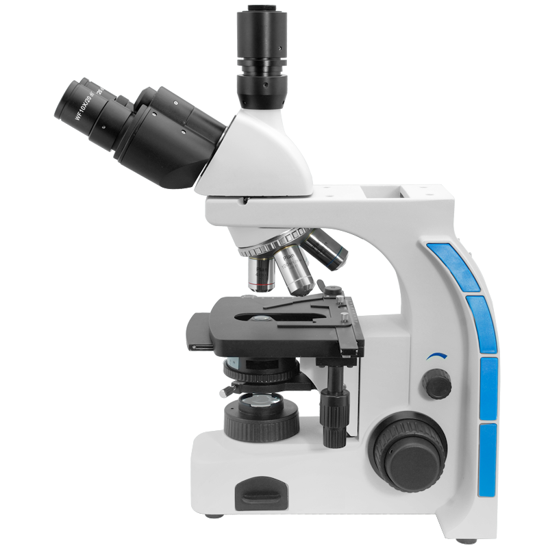 40X-1000X Biological Compound Laboratory Microscope, Trinocular, Halogen Light, Infinity Plan ...