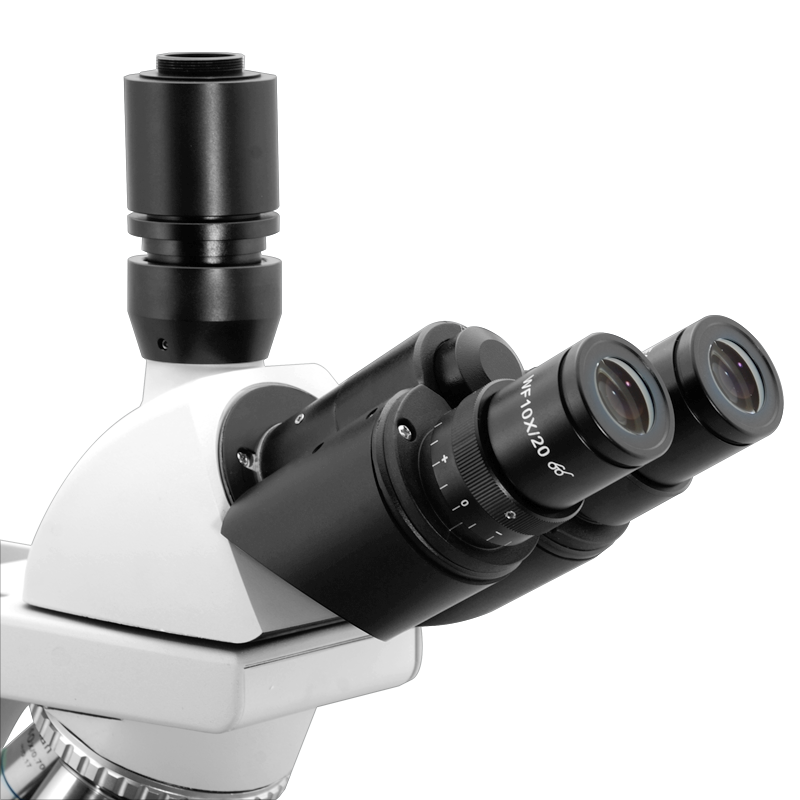 40X-1000X Biological Compound Laboratory Microscope, Trinocular, Halogen Light, Infinity Plan ...