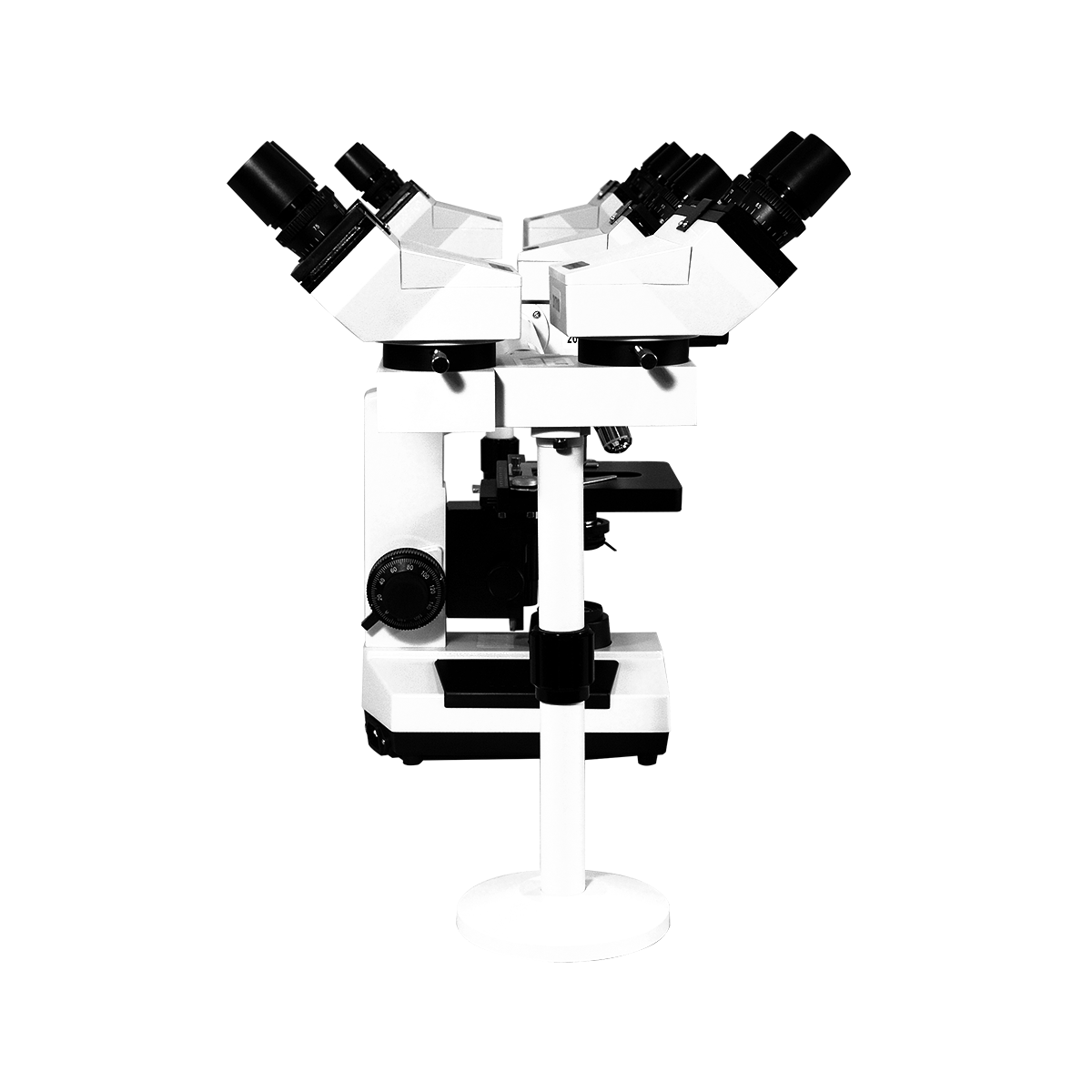 40X-1600X Five Head Multiview Teaching Compound Microscope, Binocular ...