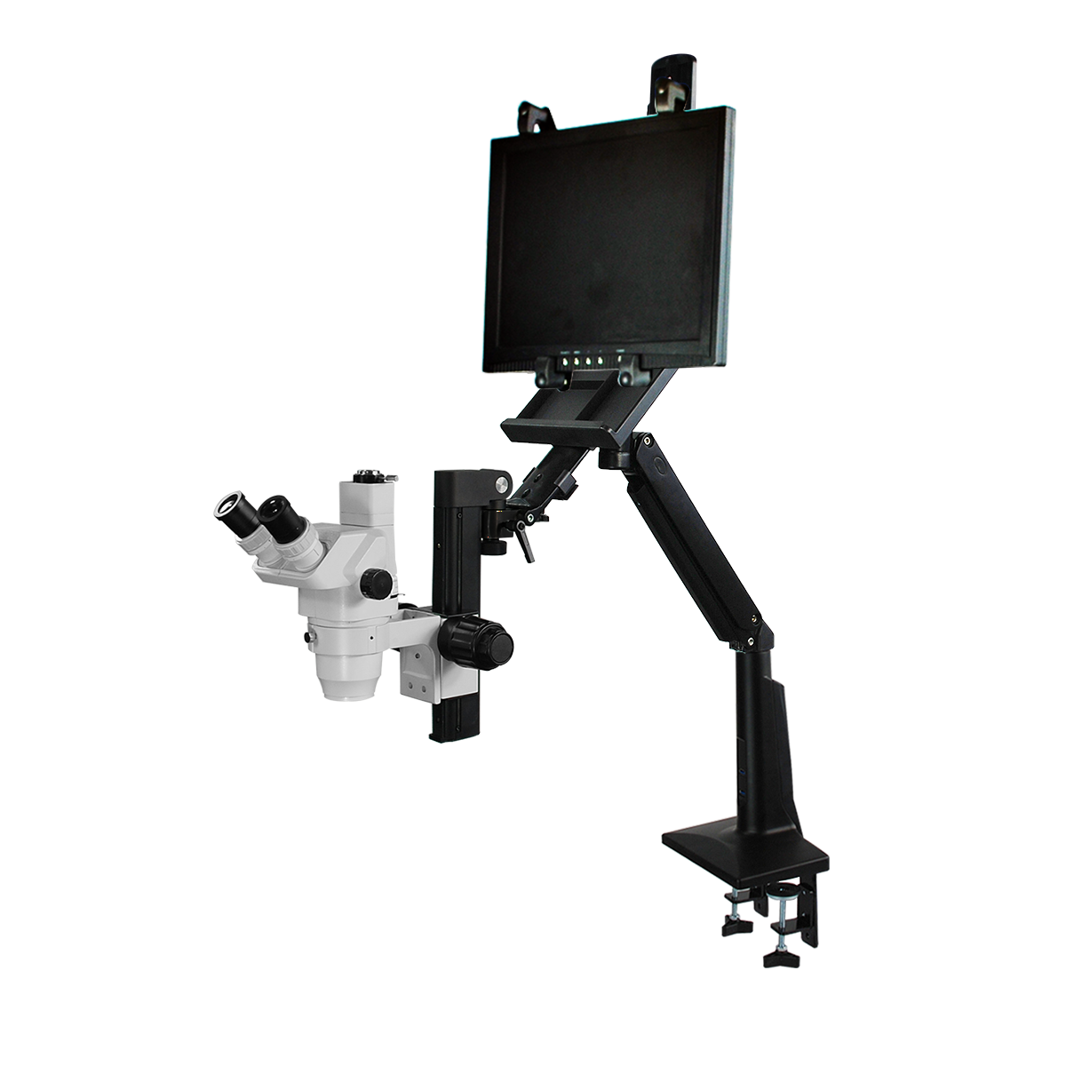 Pneumatic Articulating Arm Clamp Stand for Stereo Microscopes + Monitor ...