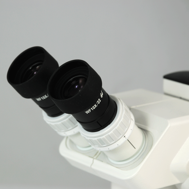 WF 10X Widefield Microscope Eyepieces, High Eyepoint, 30mm, FOV 22mm ...