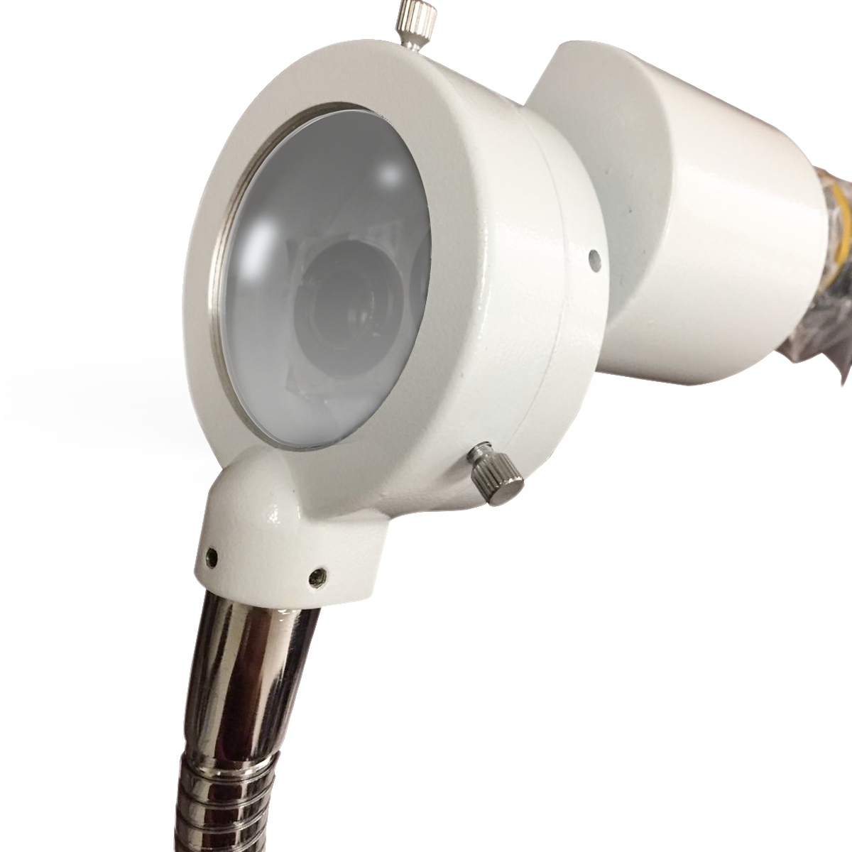 Dental 8X Magnification Binocular Fixed Power Stereo Microscope 360 ...