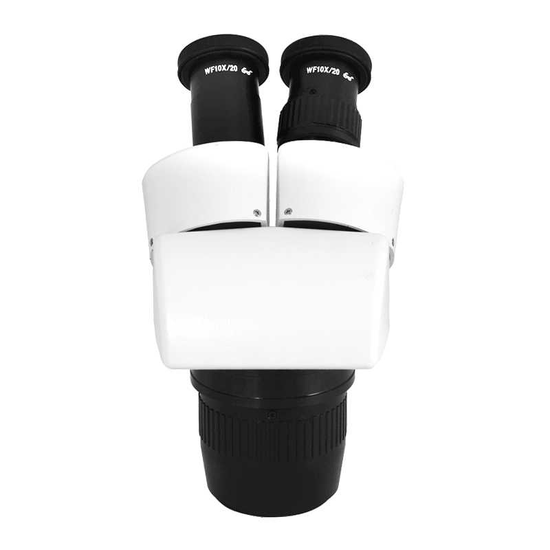 10X/20X Dual Power Stereo Microscope Head, Binocular, Focusable ...