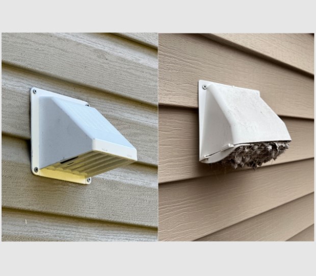 Maximizing Efficiency: How a Superior Dryer Vent Hood Helps You Save ...