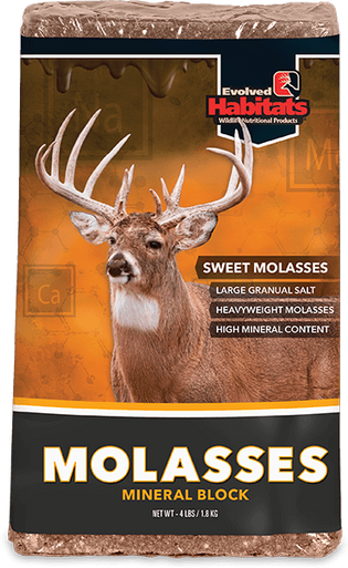 Molasses Block
