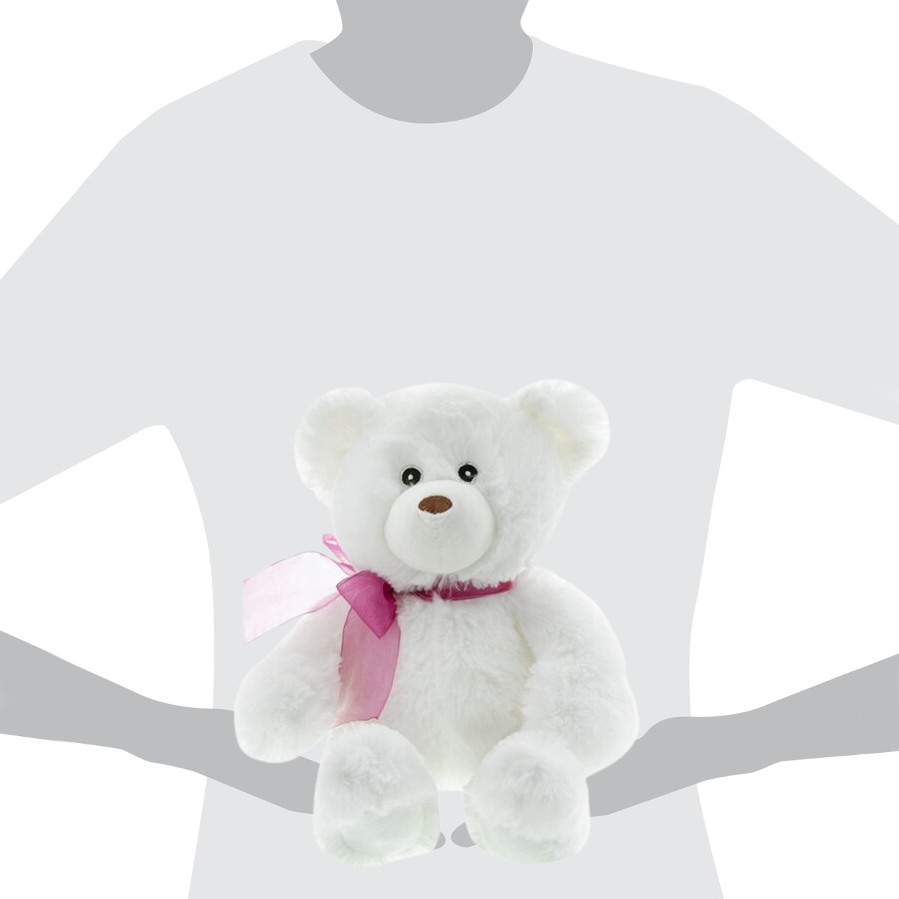 13-Inch White Teddy Bear | Cloverkey Hospital Gift Shops