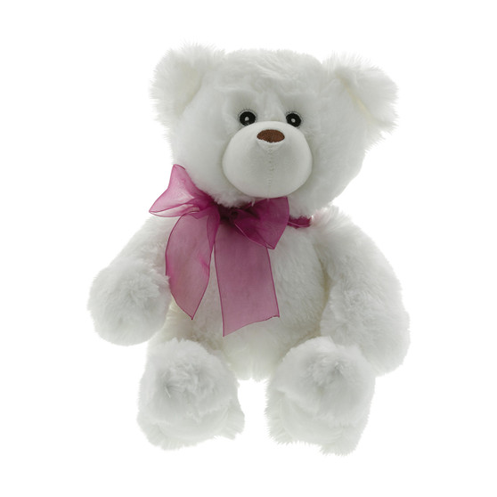 13-Inch White Teddy Bear | Cloverkey Hospital Gift Shops