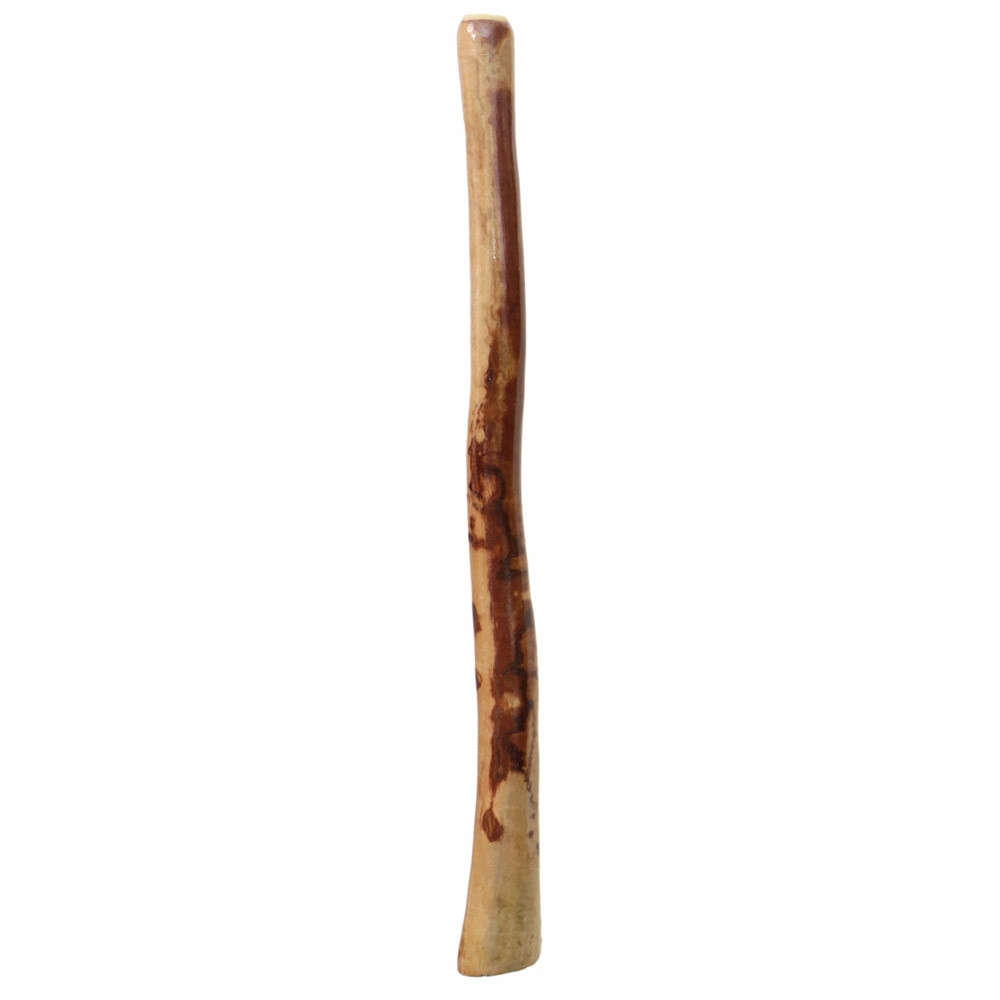 Small Gloss Finish Didgeridoo (7884) | Buy Online - Worldwide Shipping