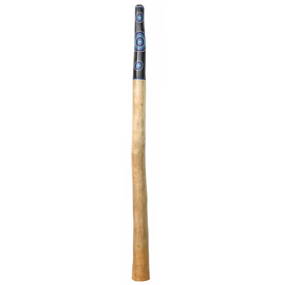 Large Jesse Lethbridge Didgeridoo (8146) | Buy Online - Worldwide Shipping