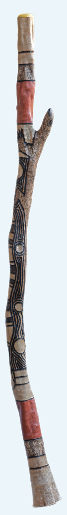 Didgeridoo Shop - Didgeridoos, Accessories - Buy & Shop Online | Perth ...