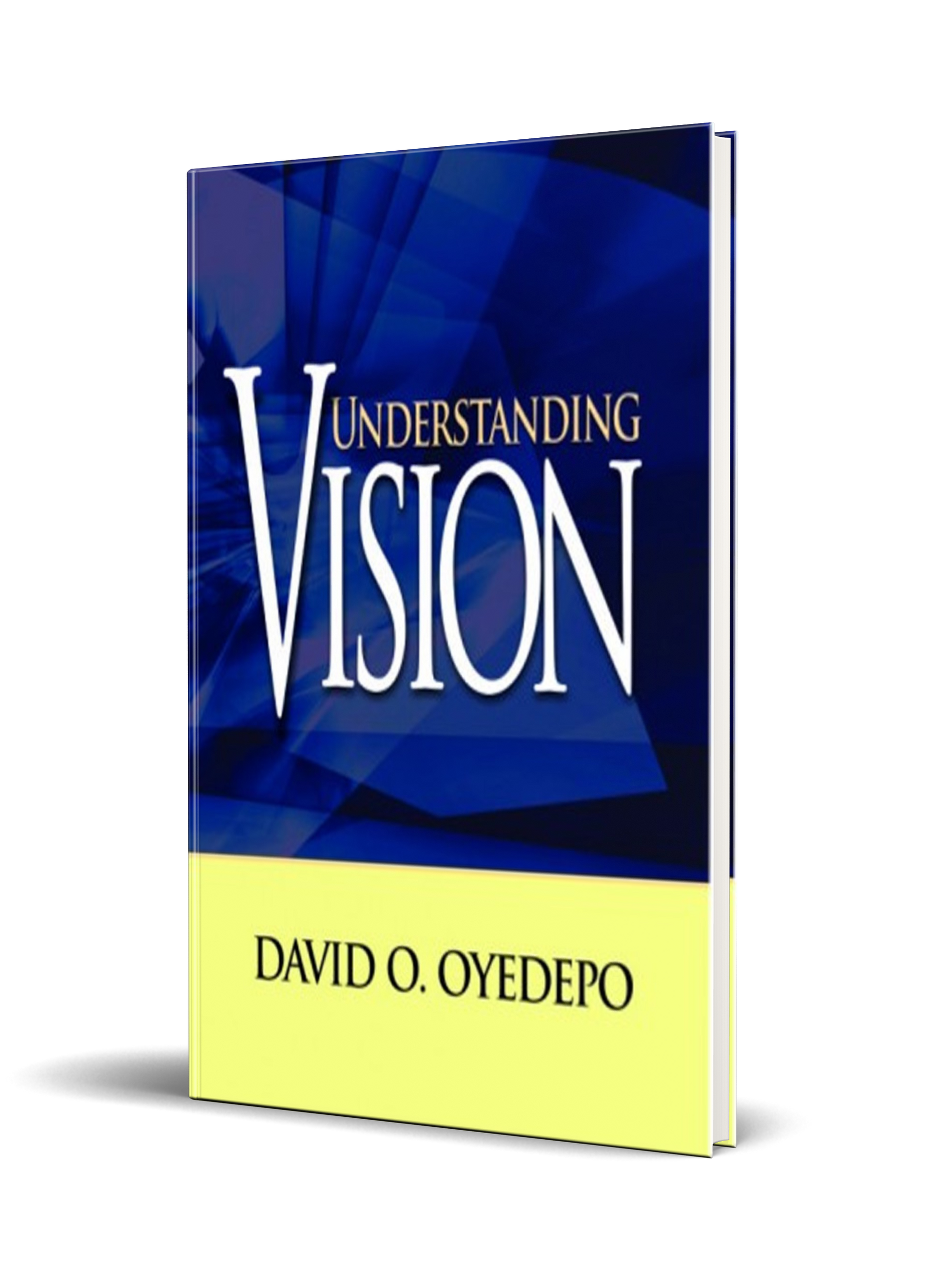Understanding Vision - Dominion Bookstore