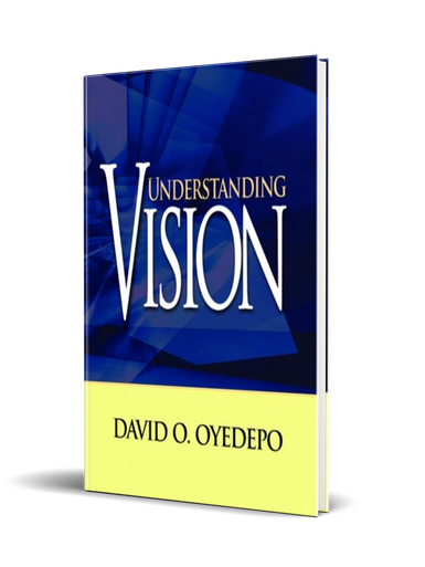 Understanding Vision - Dominion Bookstore