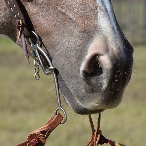 Les Vogt Turbo Collection Bits - Pro Roper Supply