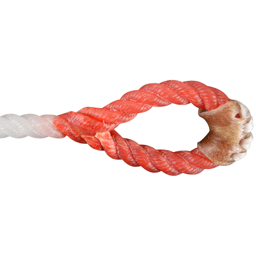 Racer Piggin Strings - Pro Roper Supply