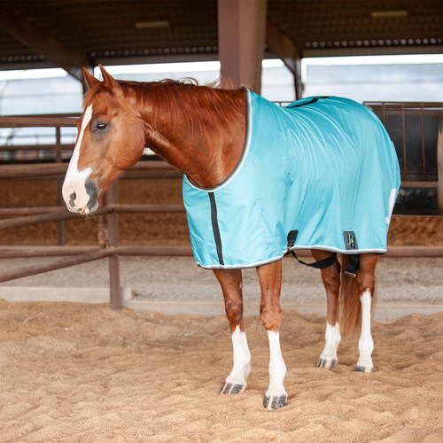 Stable Sheet